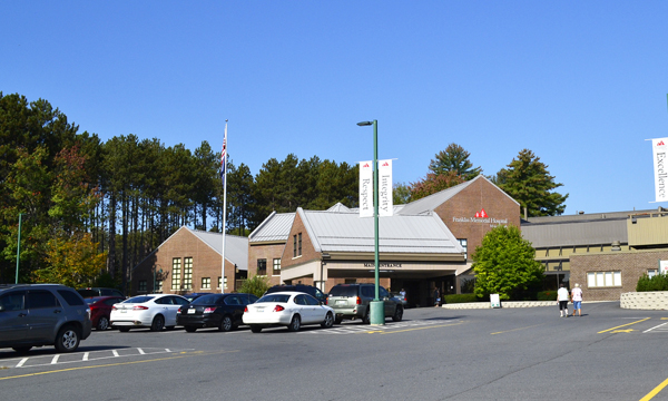 Red Pines to be Harvested on Hospital Campus | MaineHealth