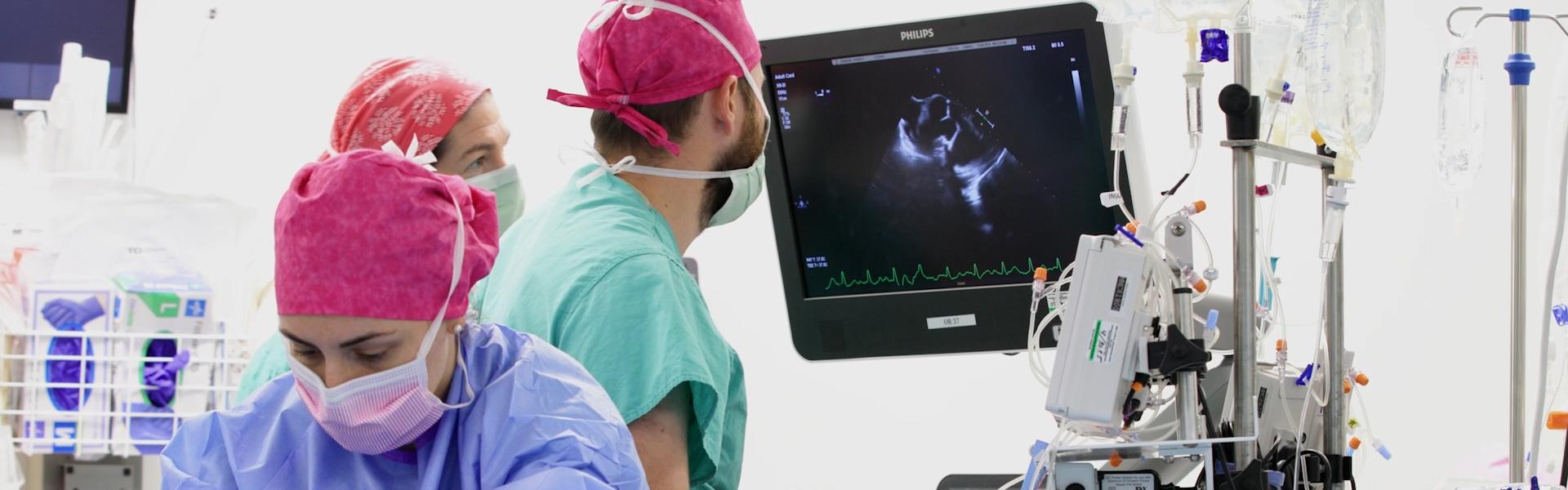 Curriculum | Adult Cardiac Anesthesiology Fellowship Program | MaineHealth Curriculum | Adult Cardiac Anesthesiology Fellowship Program | MaineHealth