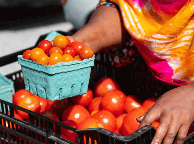 MaineHealth Food Pantry Portland | MaineHealth